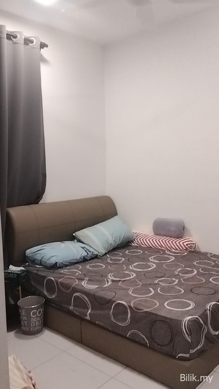 Rent room for female only - Bilik.my